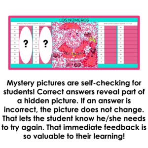 Numbers to 100 Holiday Digital Mystery Picture - La Profe Plotts